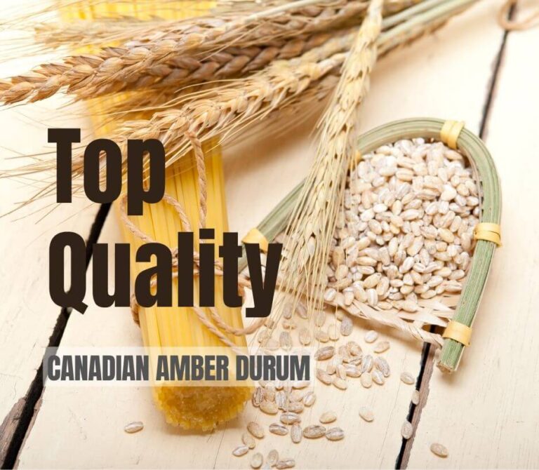 Canada Western Amber Durum (CWAD) Supplier & Exporter | BNS