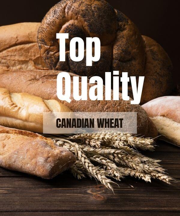 Canadian Wheat Producer, Supplier and Exporter | Bennett's Seed