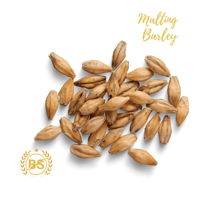 Bulk Canadian Barley Supplier & Exporter | Bennett's Seed