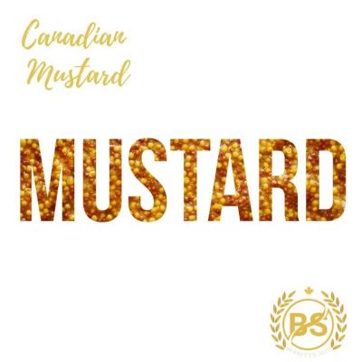 Bulk Canadian Mustard Seed Supplier & Exporter | BNS